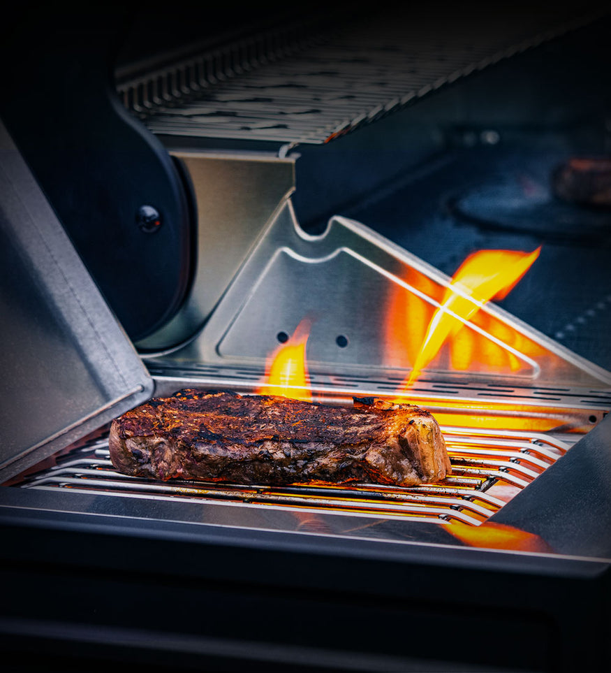 Denali 605PRO Stainless Gas Grill Sale 2024 – Monument Grills