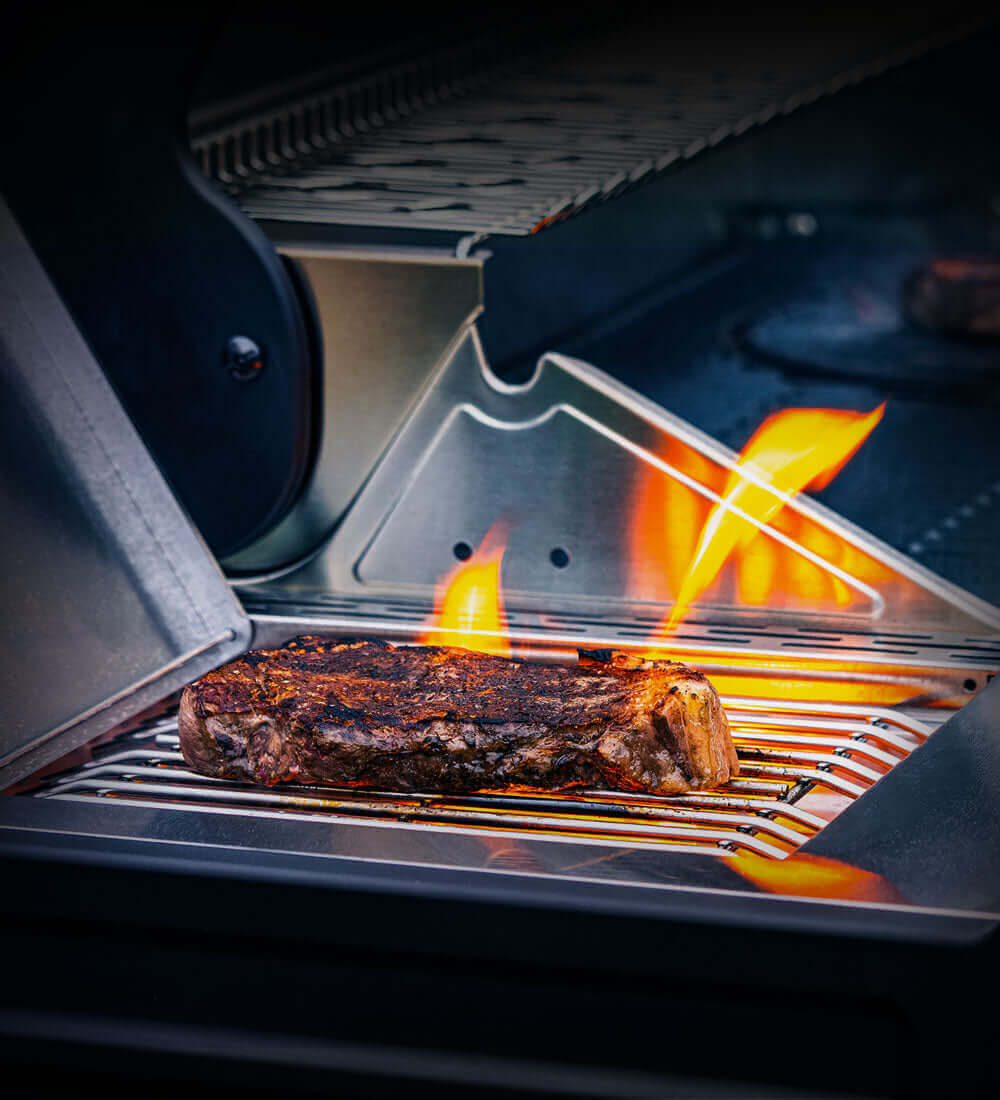 Denali 605Pro Stainless Smart Gas Grill 6 Burners Propane – Monument Grills