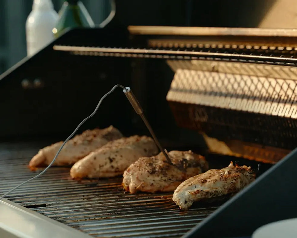 2025 Monument Grills Gift Guide | Thanksgiving Recipes, Grilled Turkey ...